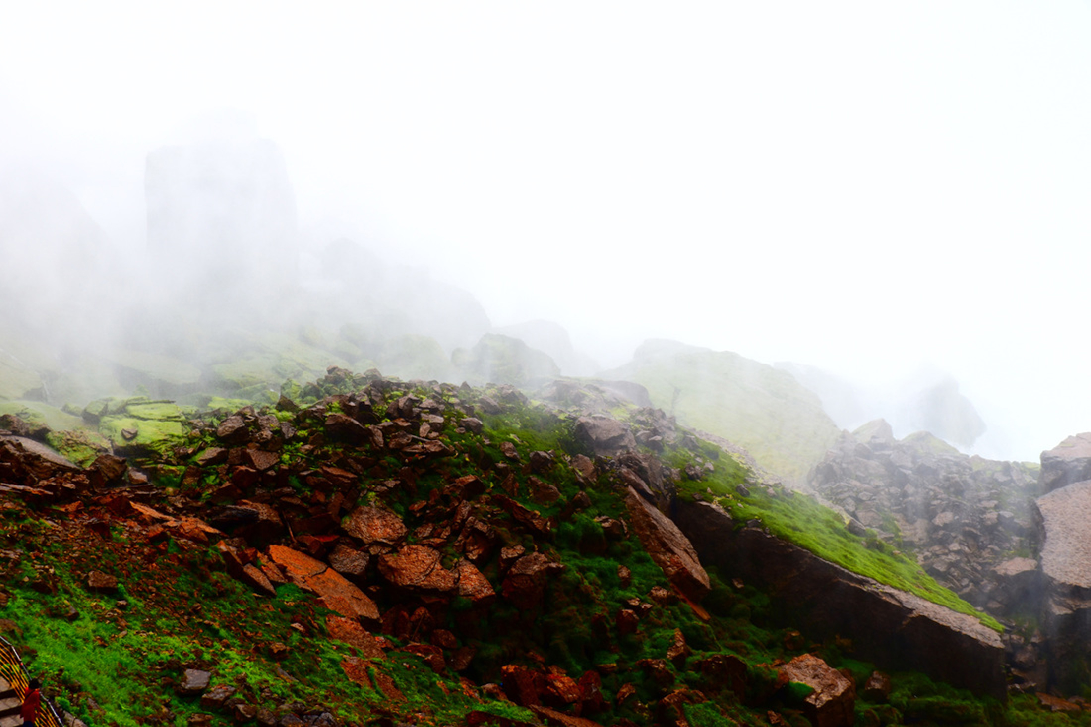 Little Explorers to learn about soil | News, Sports, Jobs - Times Observer